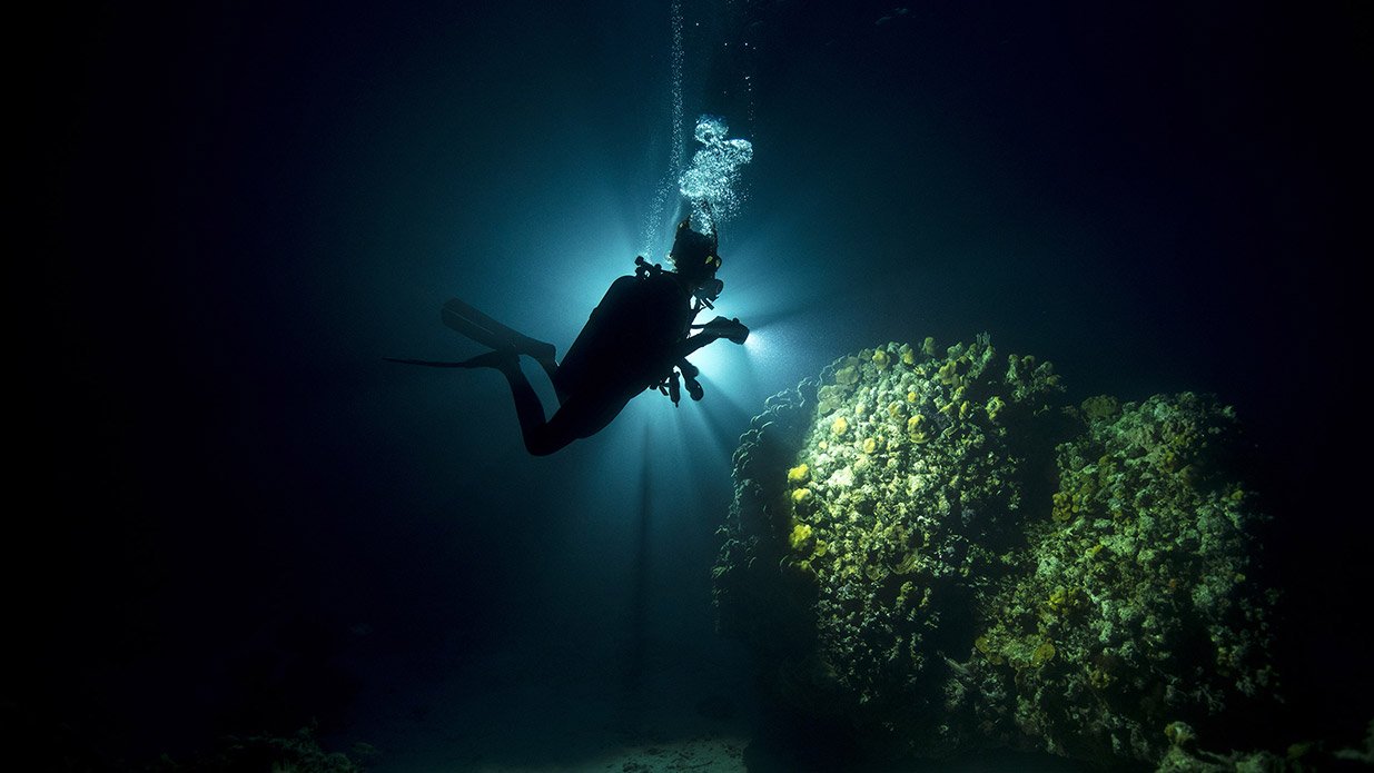 PADI Night Diving – Scuba2Go